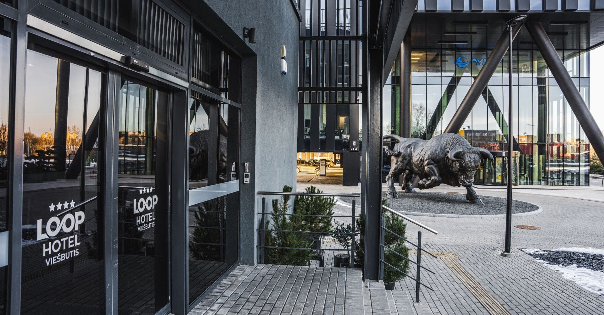 Usage policy - Loop Hotel